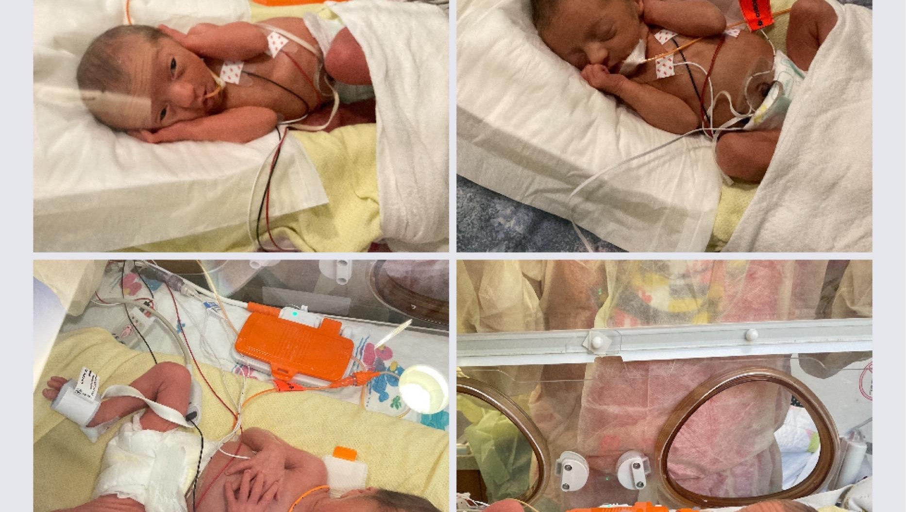 Fundraiser for Jacob Holter by Julie Selin : The Holter Twins - Marlowe ...