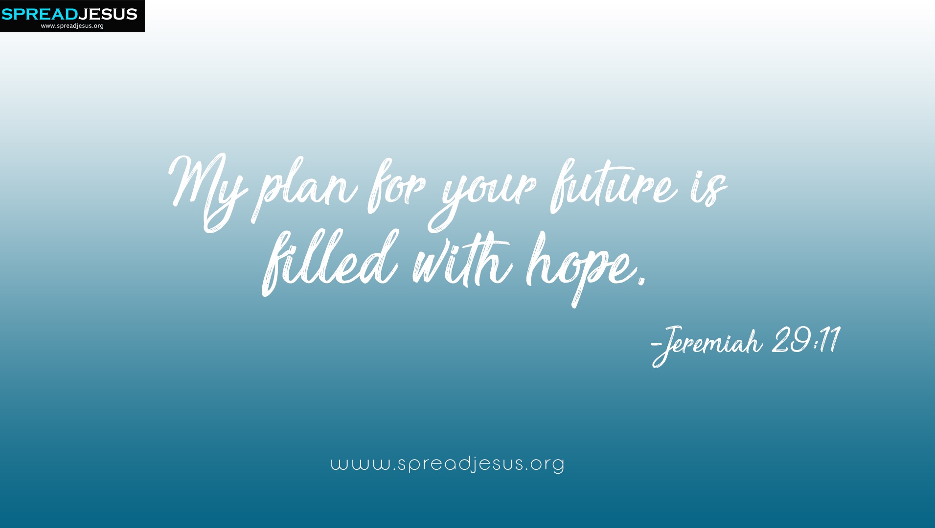 Fundraiser for Colleen Pahde by Claire Gunter : In memory of Ted Scott