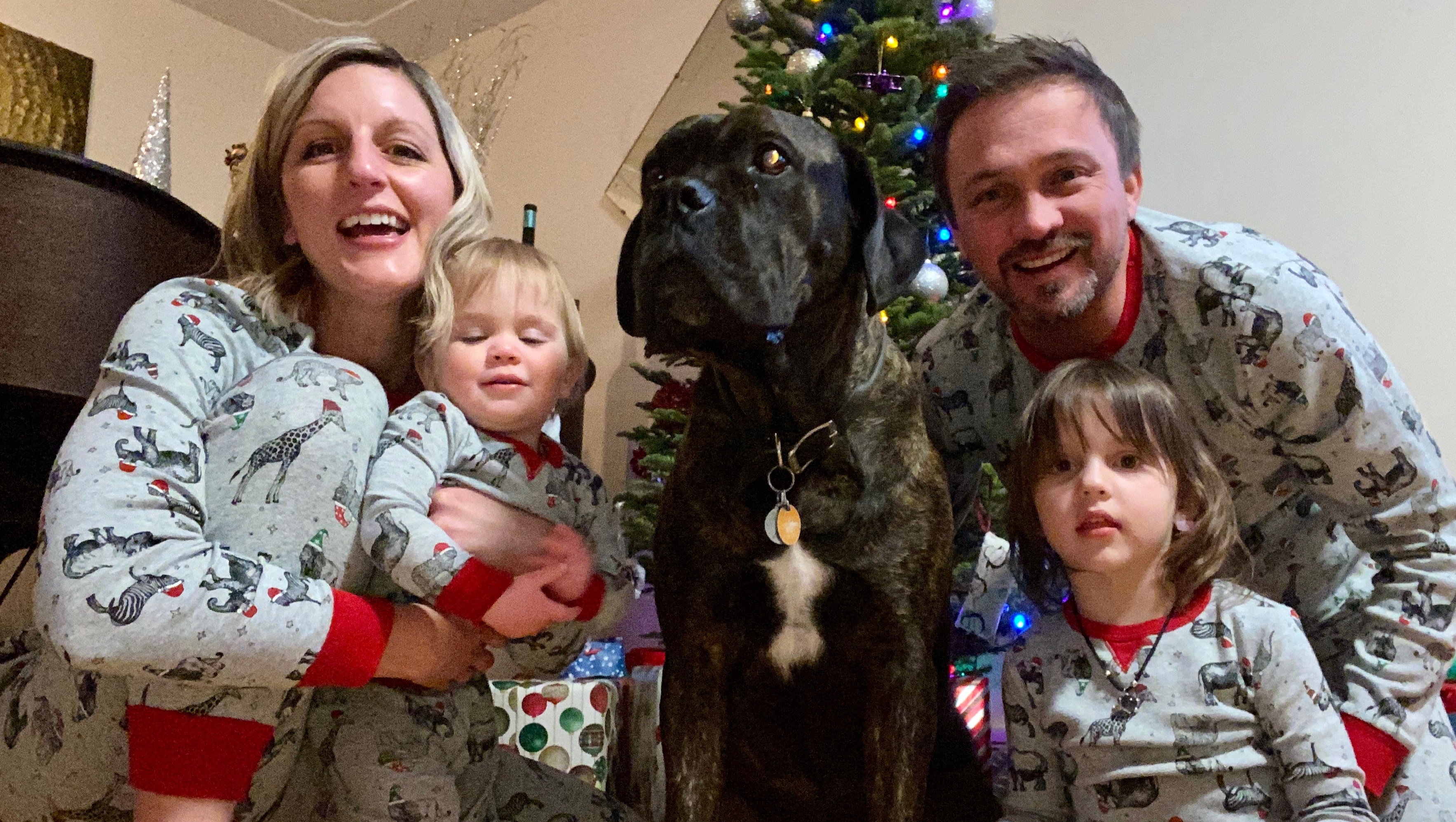 Fundraiser for Elizabeth Moreau by Meghan Ward : Justin Moreau's ...