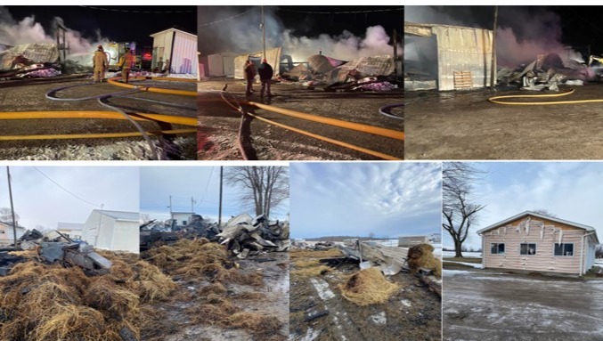 Fundraiser for Virginia Williams by Jim Hollis : Tragic Broodmare Barn ...