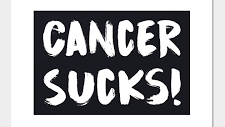 Fundraiser for Douglas Borchard by Pam Ogden : Help Debbie survive cancer!