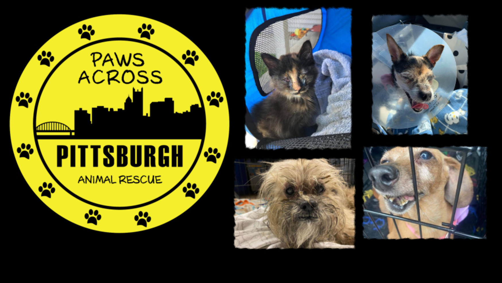 Fundraiser by Paws Across Pittsburgh : Paws Across Pittsburgh Needs a ...