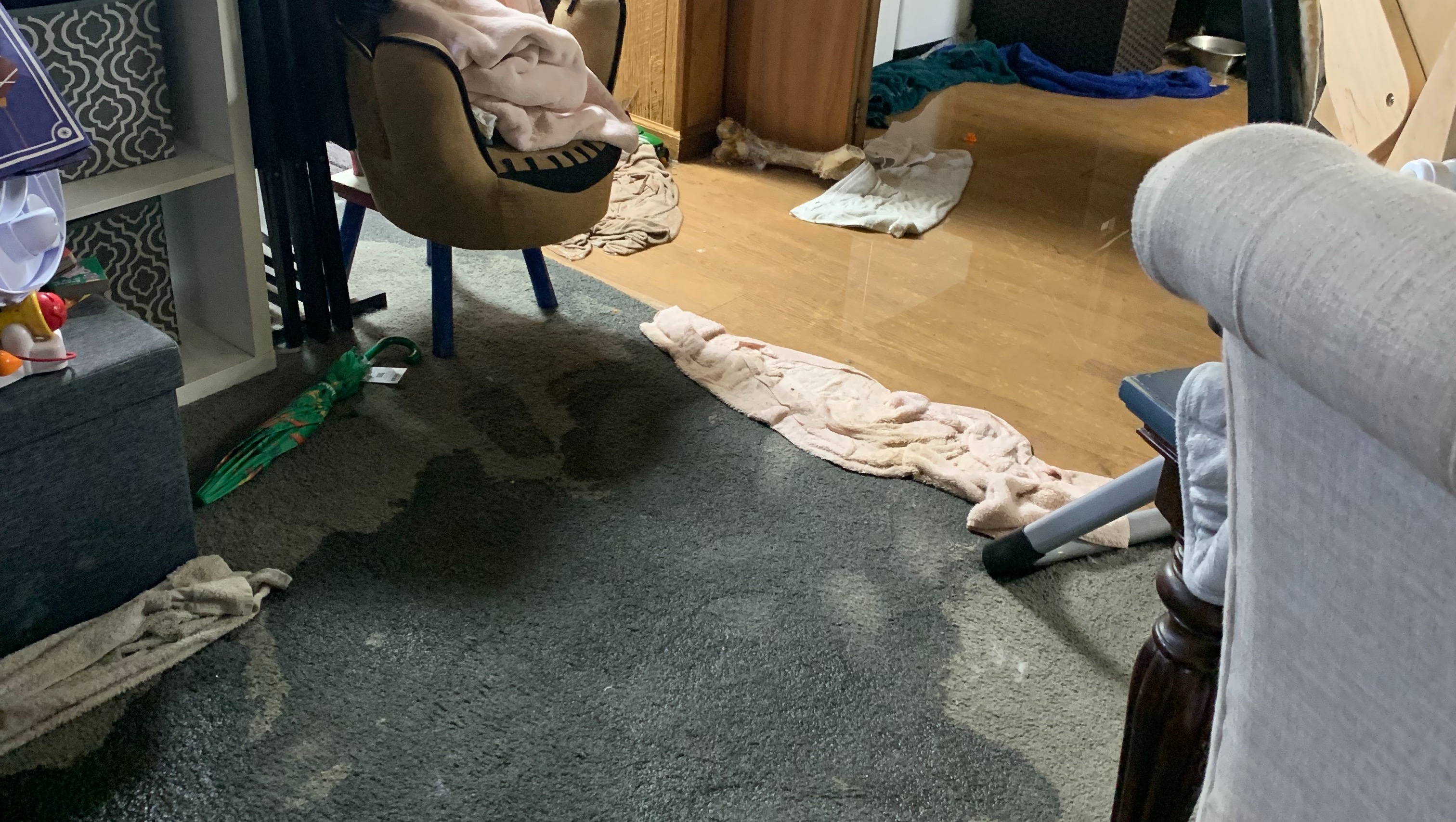 Fundraiser by Kristie Morrison : Help our family get our home back