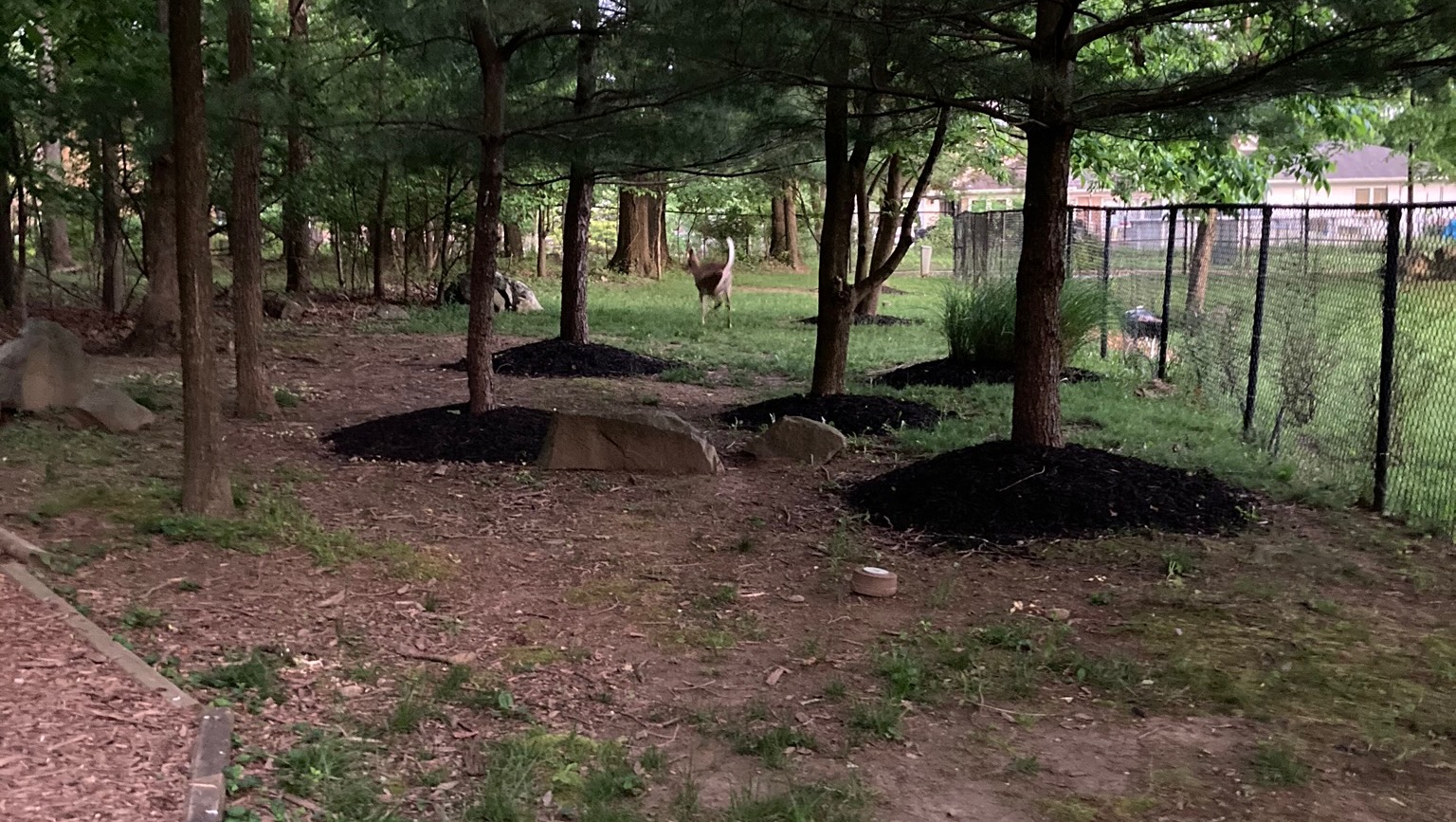 Fundraiser by Aryeh Pleeter : Heather ridge pathways