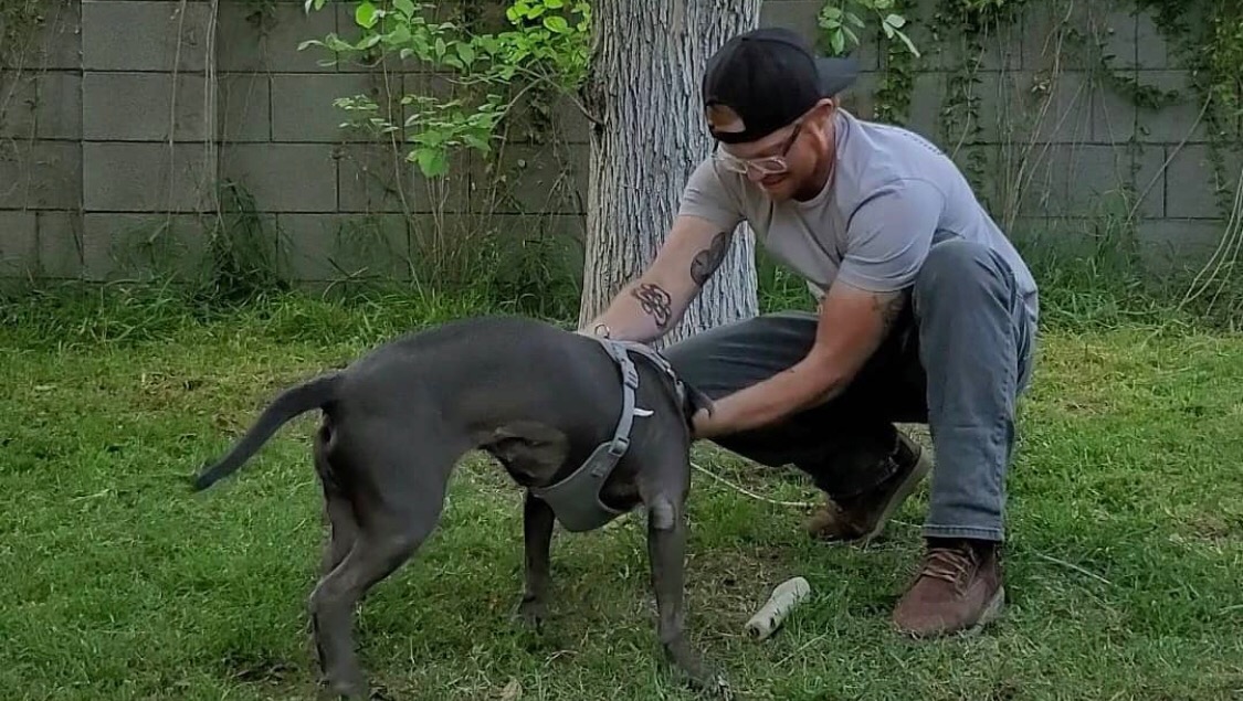 Fundraiser for Josh Sluyter by Kristofer Sluyter : Funeral Expenses for ...