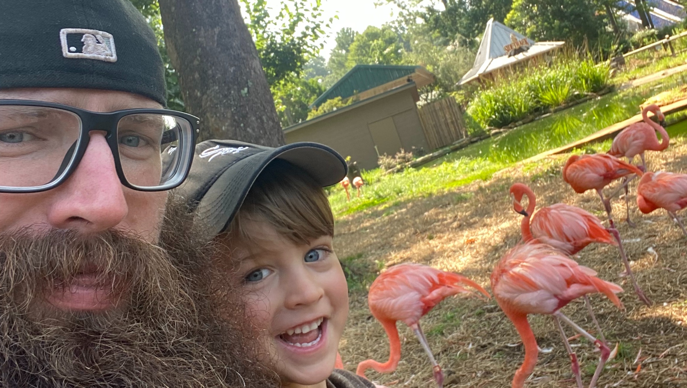 Fundraiser by Tim Michalak : Legal fees to give equal time with his parents