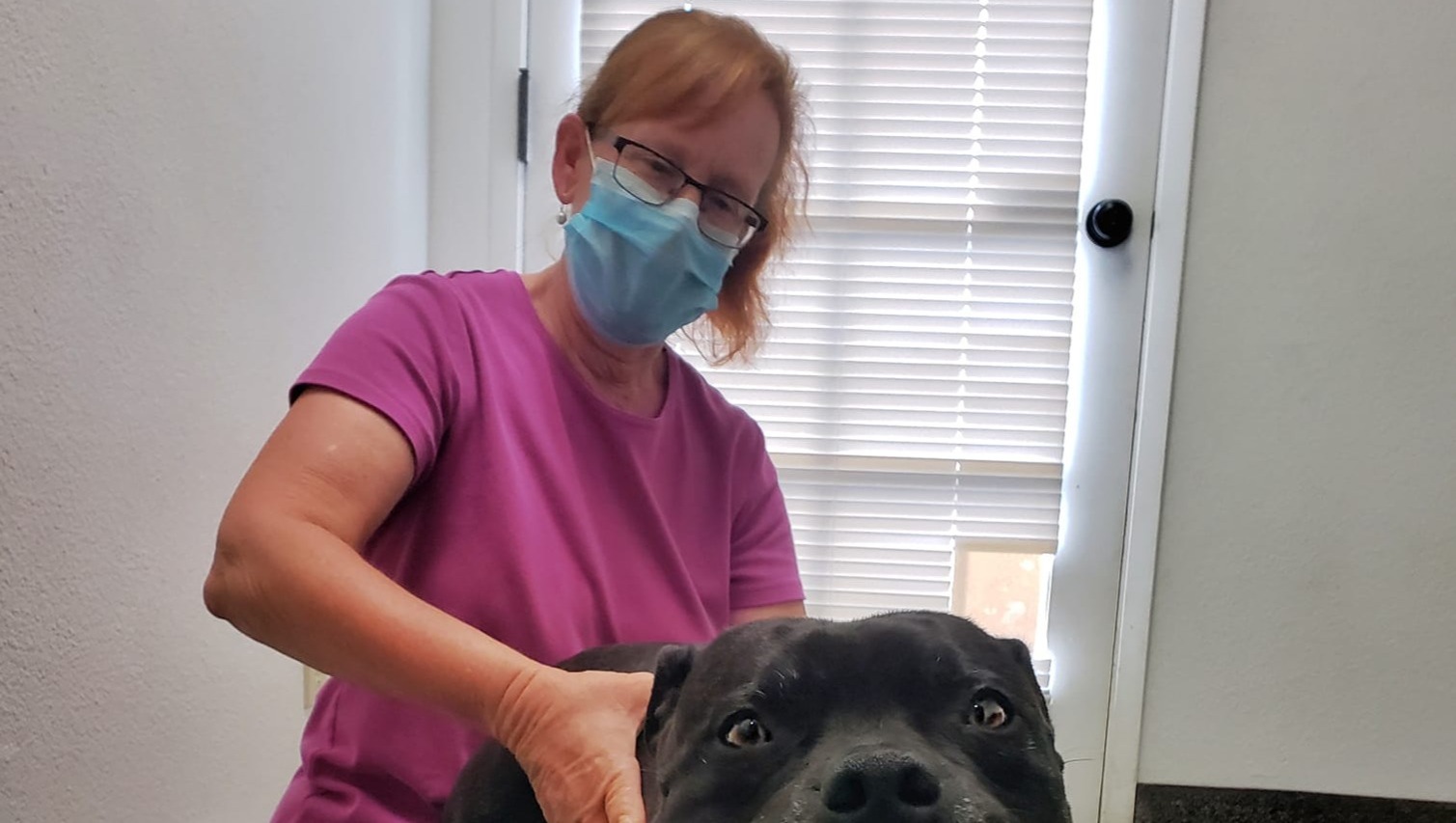 Fundraiser for Finbarr Mulvey by Amy Lavoie : Help Dr. Cheryl recover ...