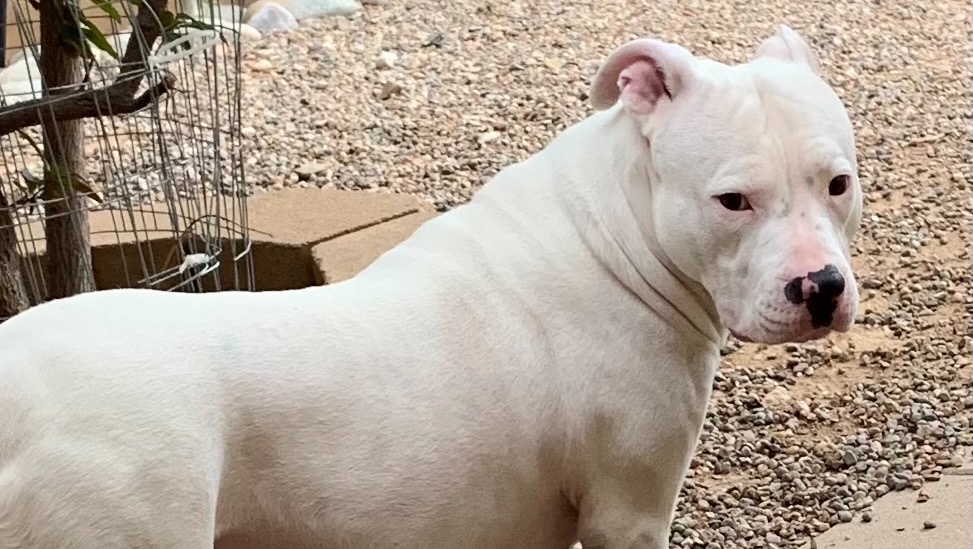 Fundraiser by Kimberly Roman : Mindy Mae’s Medical Fund