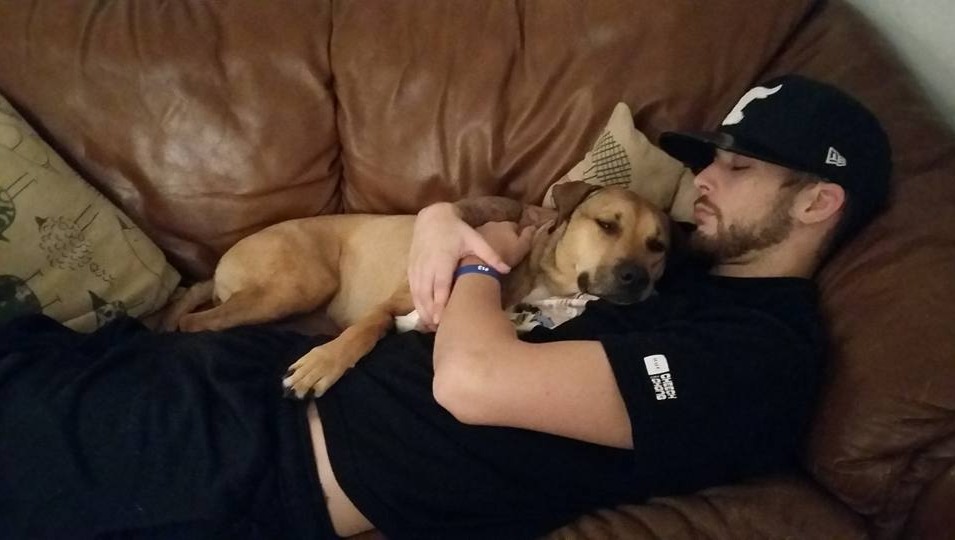 Fundraiser for Eric Engle by Erin Engle : Kaya Needs Your Help