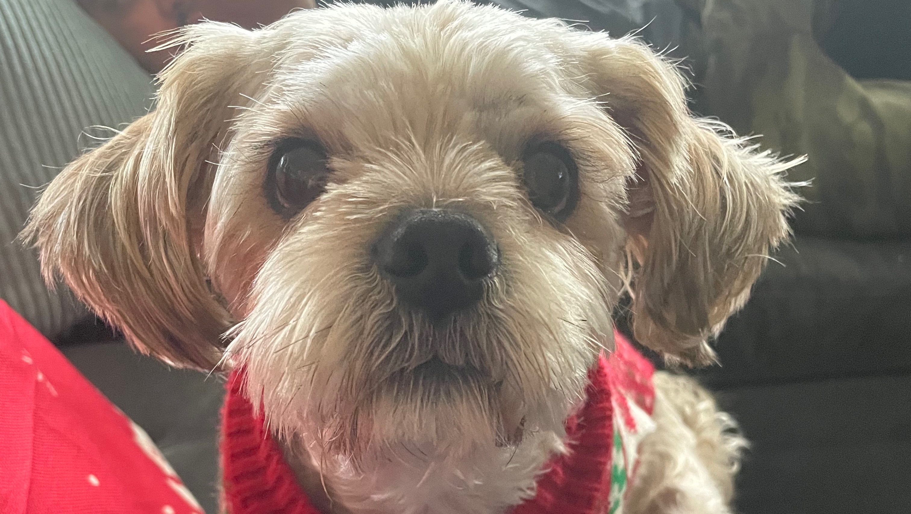 Fundraiser for Oscar Hernandez by Esther Elenes : Help Pay Moffitt’s ...