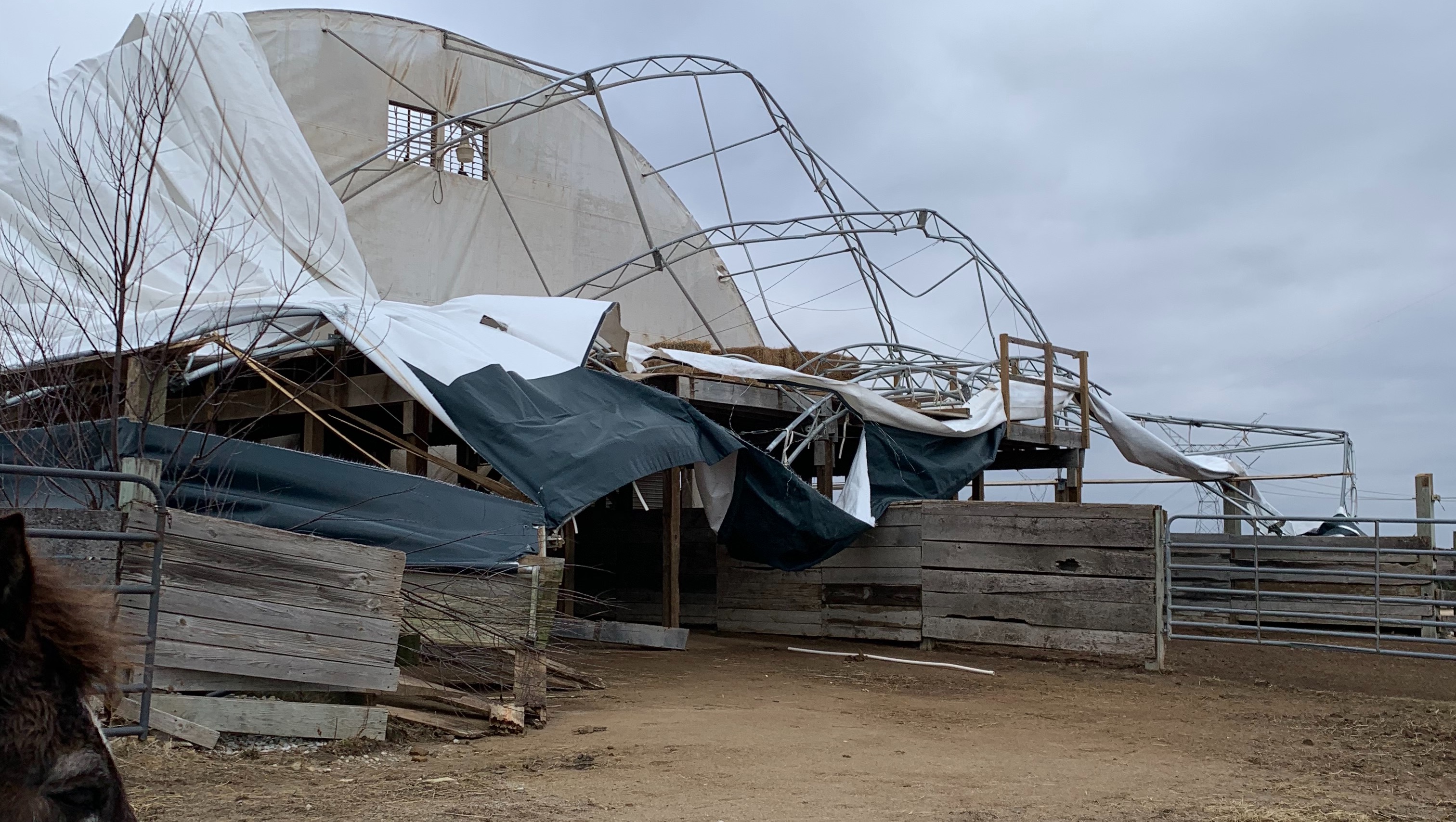 Fundraiser by Jodi Ziegler : Pegasus Special Riders Storm Relief