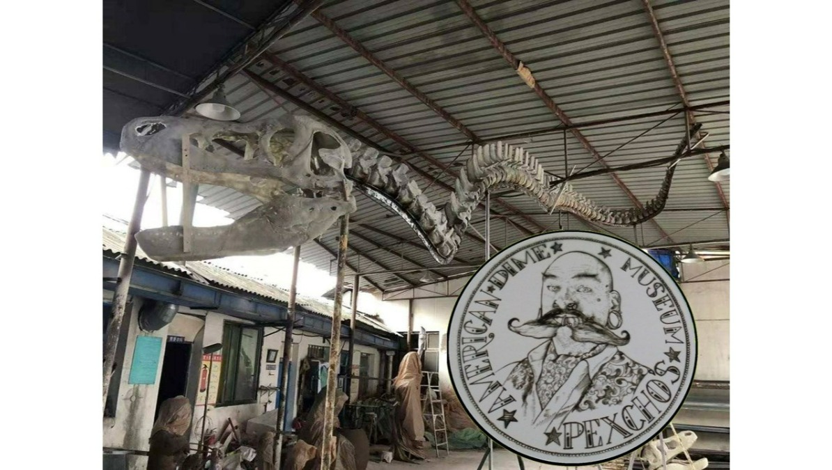 Fundraiser for Peter Excho by Ozzie Ledesma : 2-Headed T-Rex at Pexcho ...