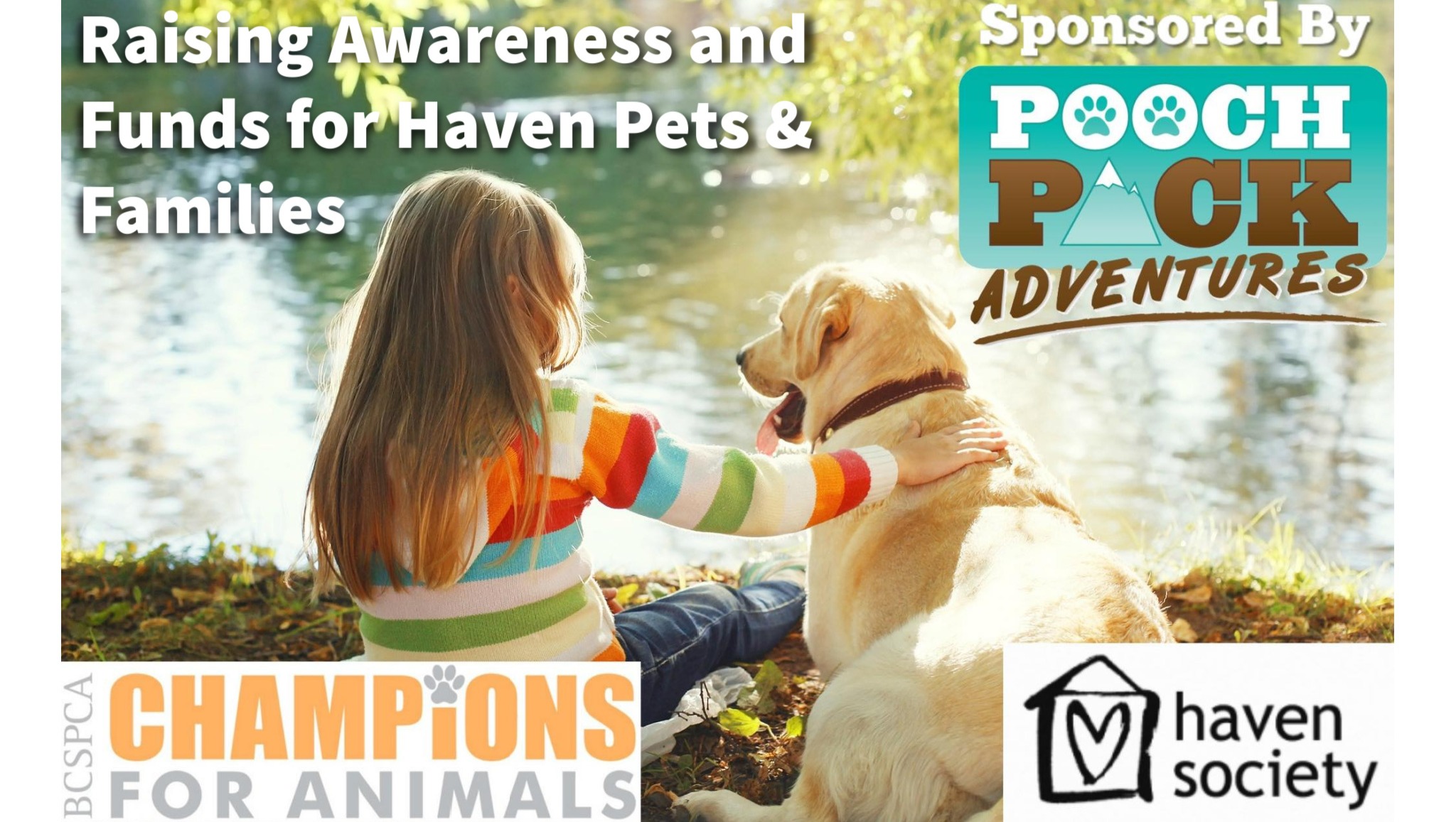 Fundraiser by Kim Sirett : 55 Dogs On A Log For Cause-Haven Pets & Families