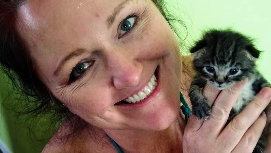 Fundraiser for Dianne Doyle by Cassie Holbrook : Help Dianne Recover ...