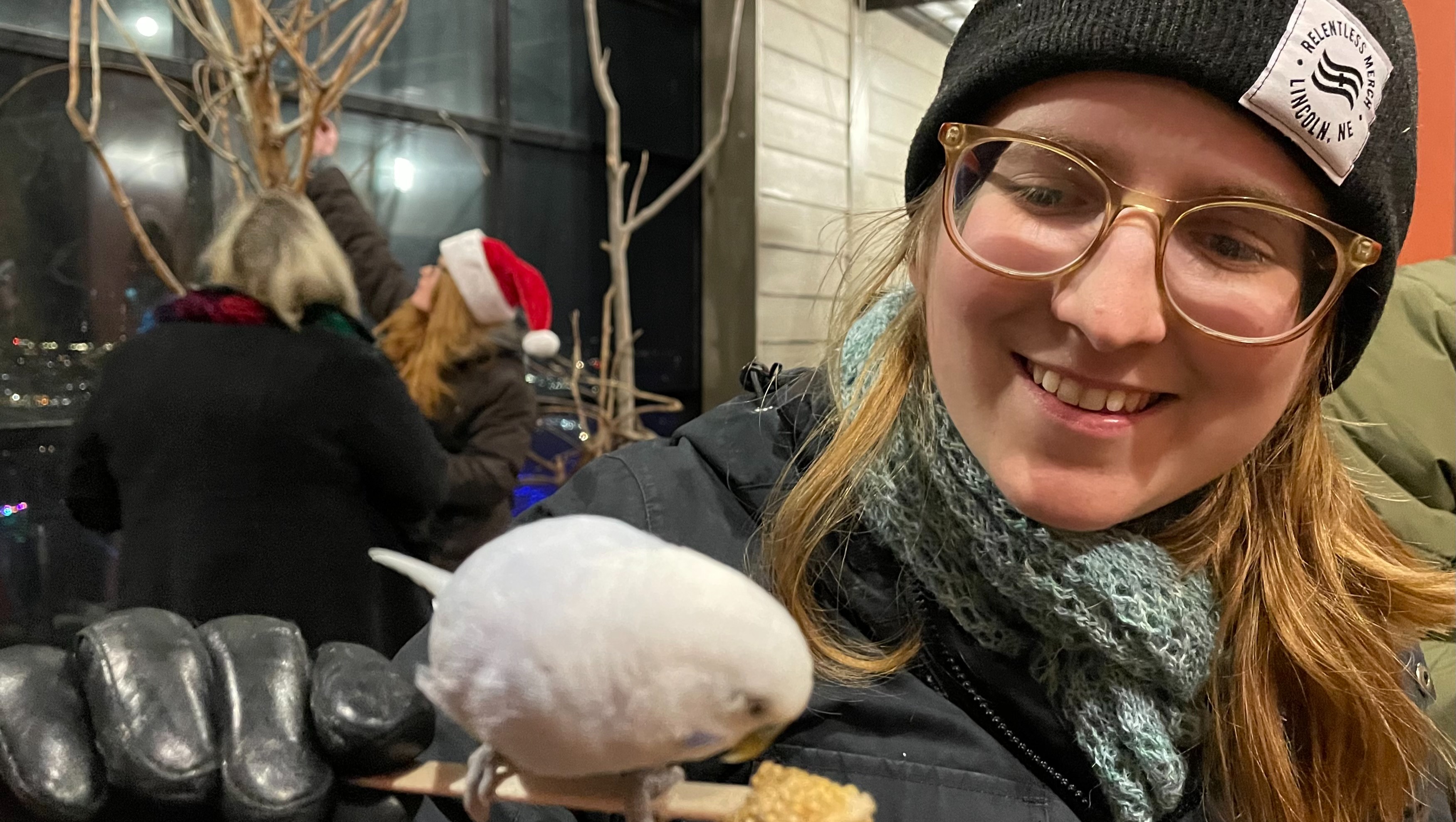 Fundraiser for Janeen Costlow by Noah Sheaffer : Jay's Eye Surgery