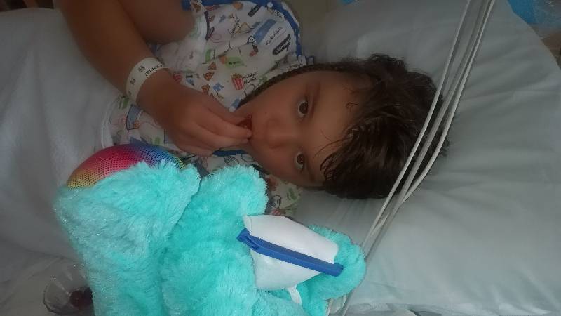 Fundraiser for Zachary Laird by Sarah Kroeskop : Support Emily E. of ...