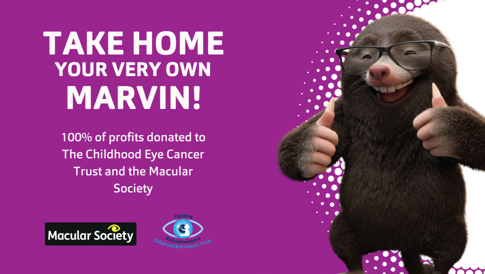 Fundraiser by Vision Express : Marvin The Mole for CHECT & MACULAR