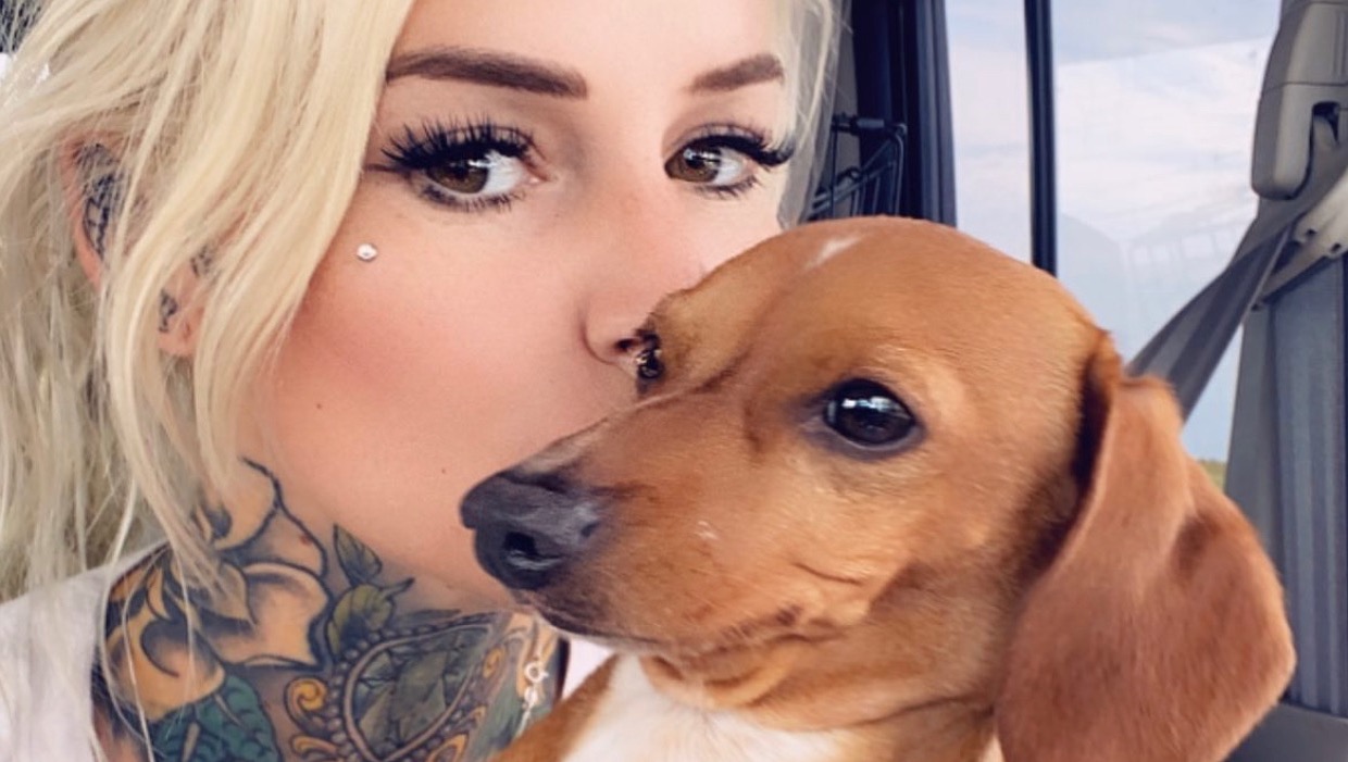 Fundraiser by Lexy Maddox : Our Sugar needs emergency spinal surgery