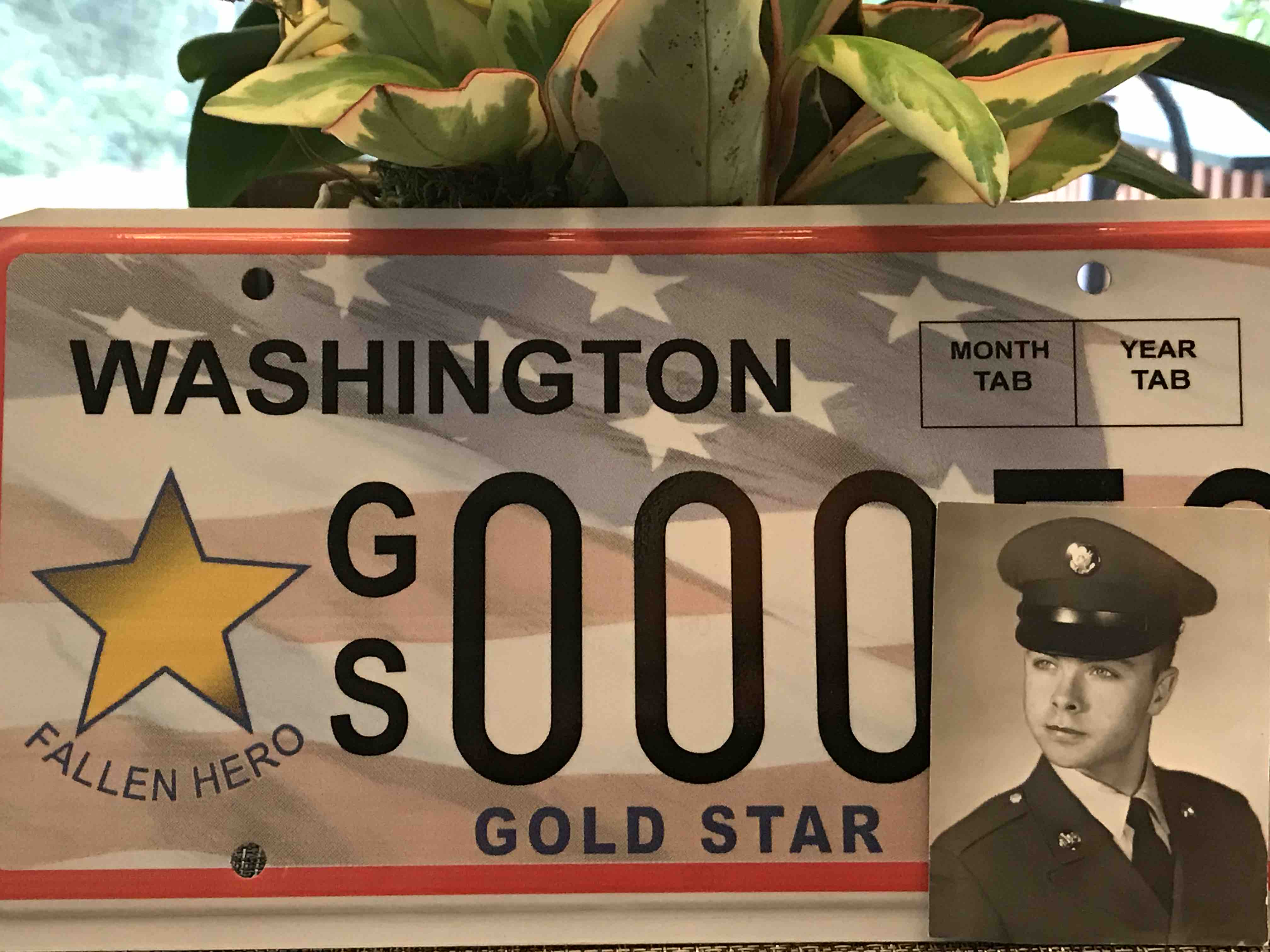 Fundraiser by Gregory Barrowman : FLIGHT 293 DISAPPEARED WITH 101 SOULS ...