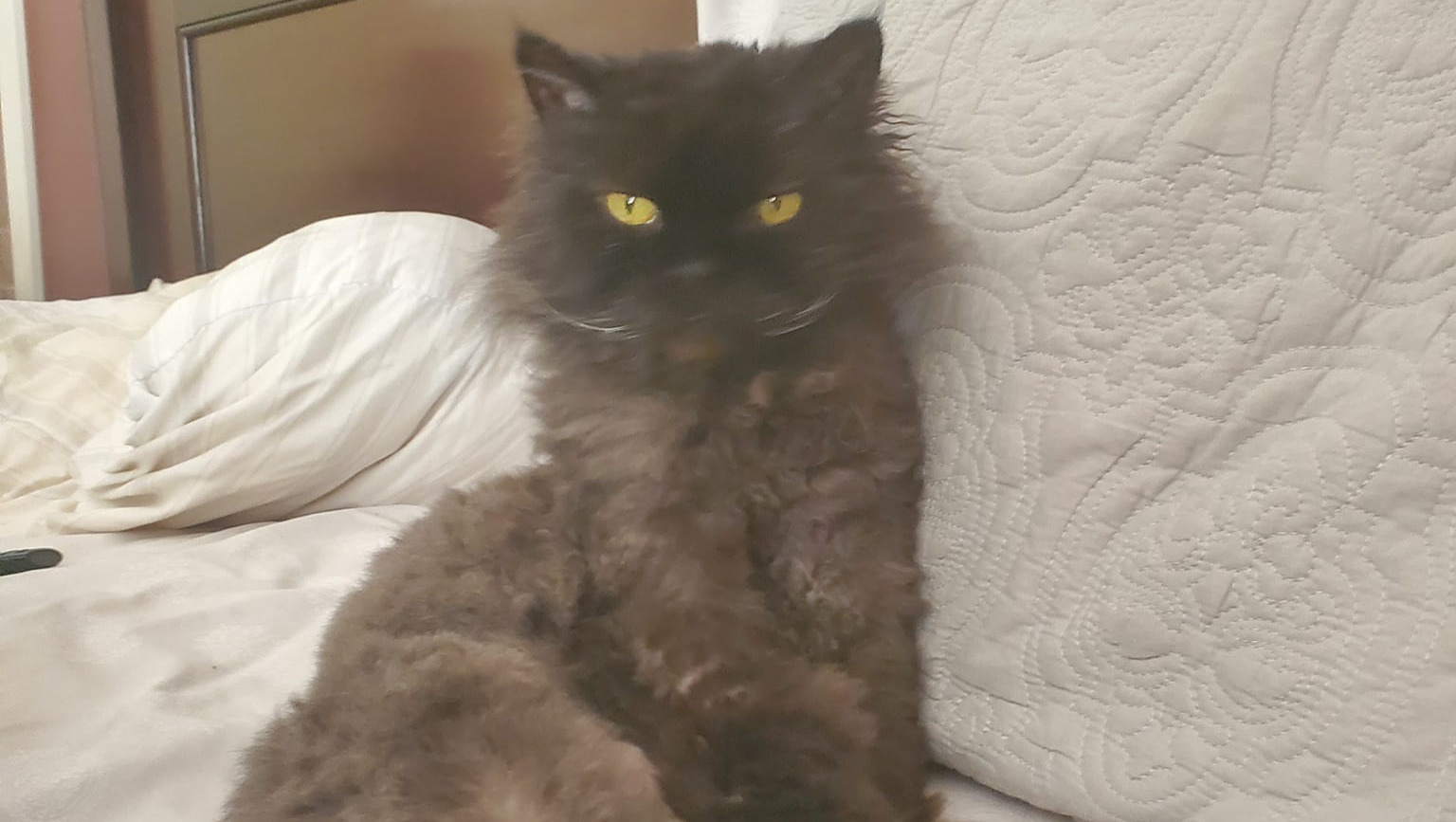 Fundraiser for Matthew Wever by Justin Wever : Cancer Treatment for ...