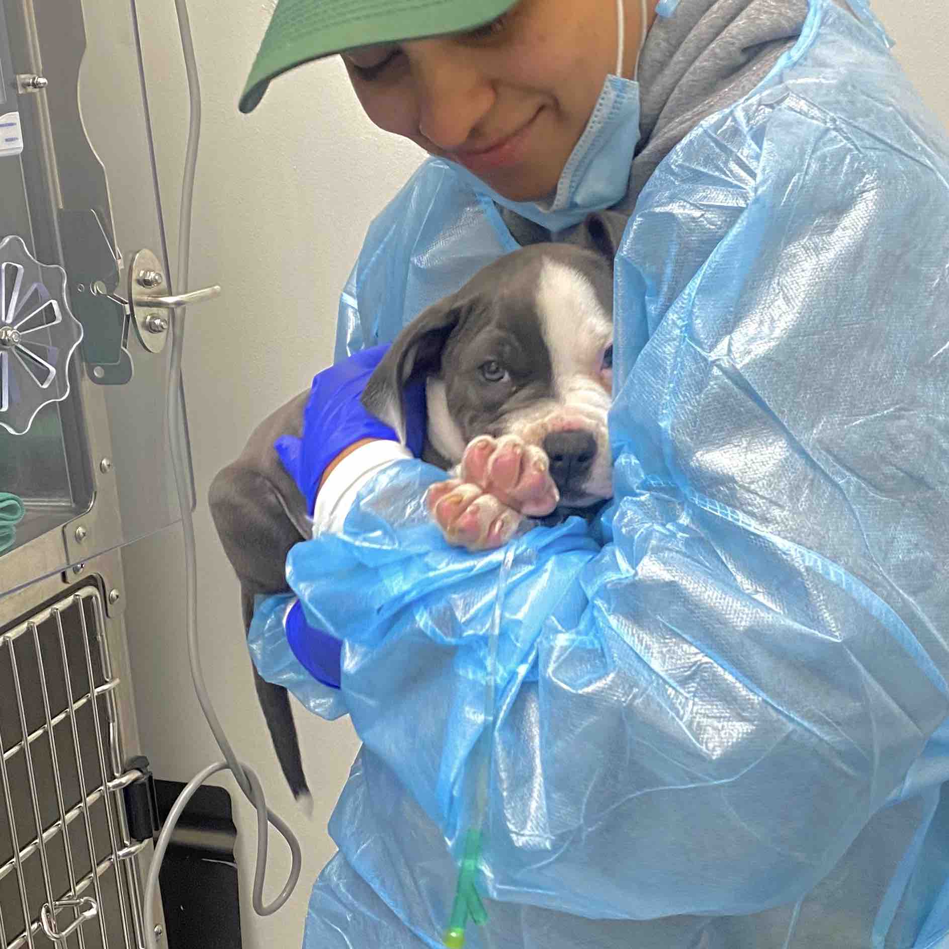 Fundraiser for Abigail Lissette Miranda by Nina Alvarez : Help Us Save ...