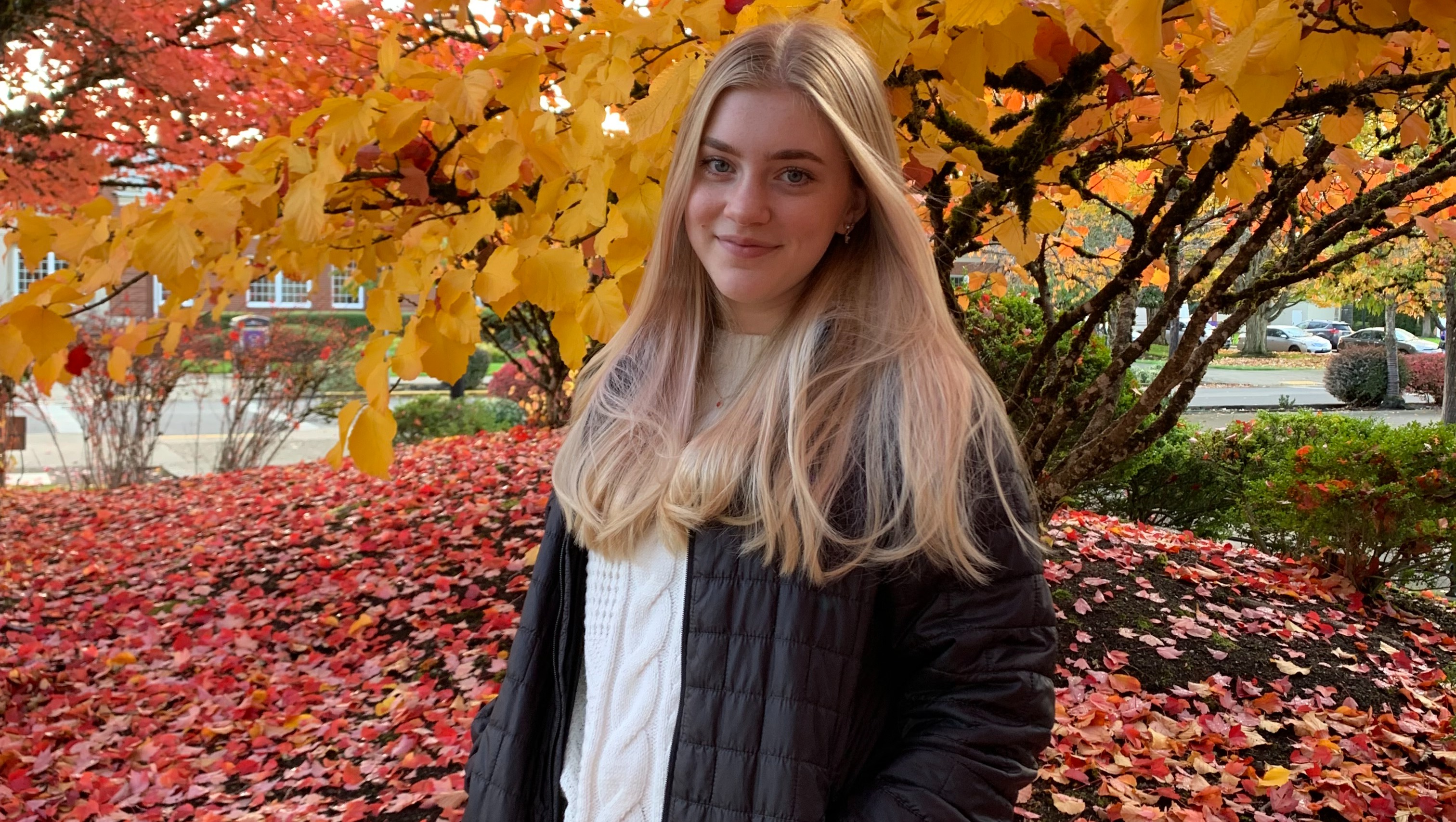 Fundraiser for Demian Cratty by Kate Cratty : Help Kate get to New York