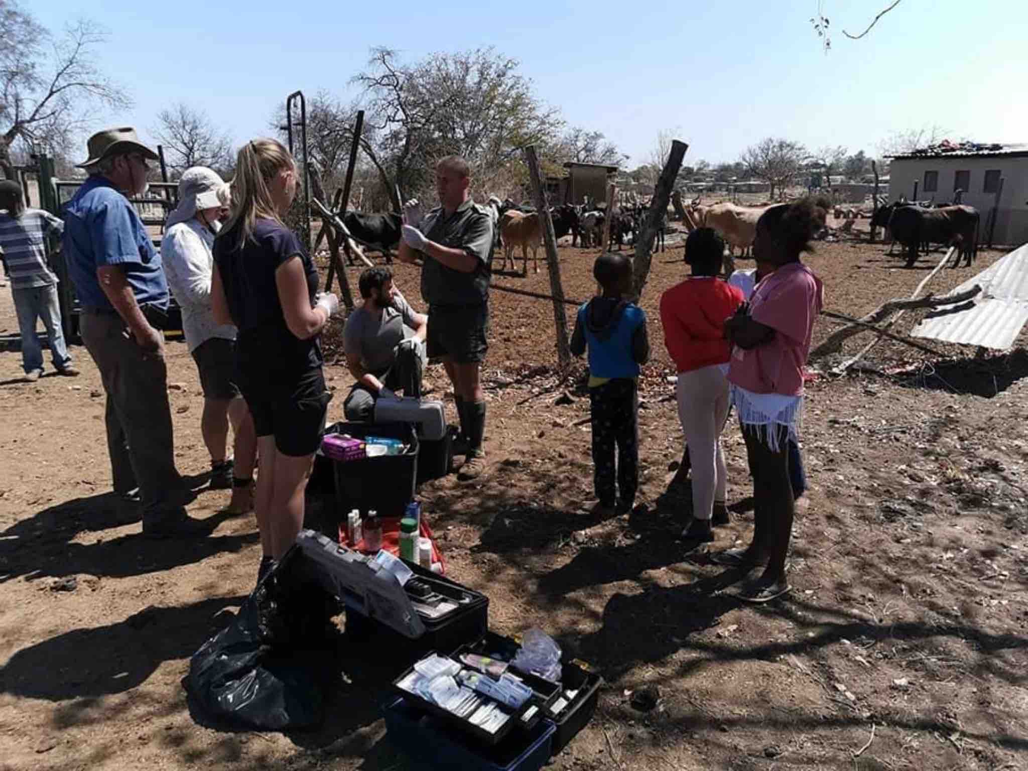 Fundraiser by Michael Bonas : African Assistance for Animals: Endoscope