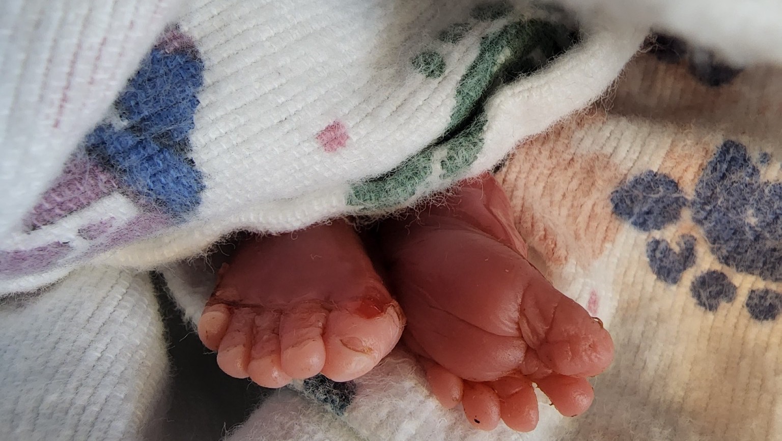 Fundraiser for Jared Flamm by Brianne Midgley : Baby B Flamm Funeral ...