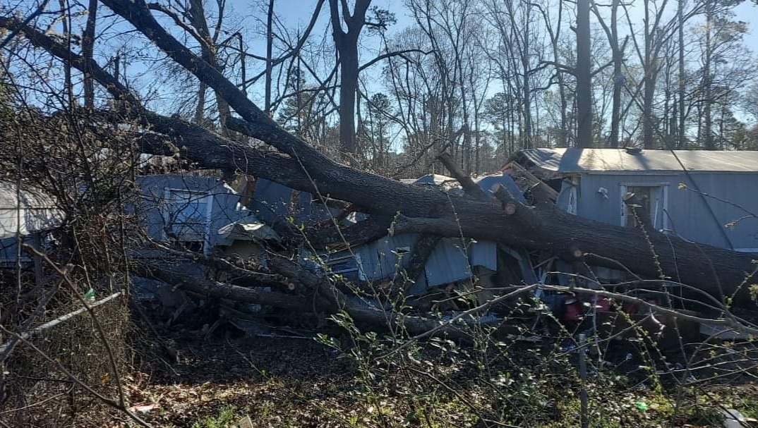 Fundraiser for William Saxton by Shannon Bonnette : Help the Saxtons ...