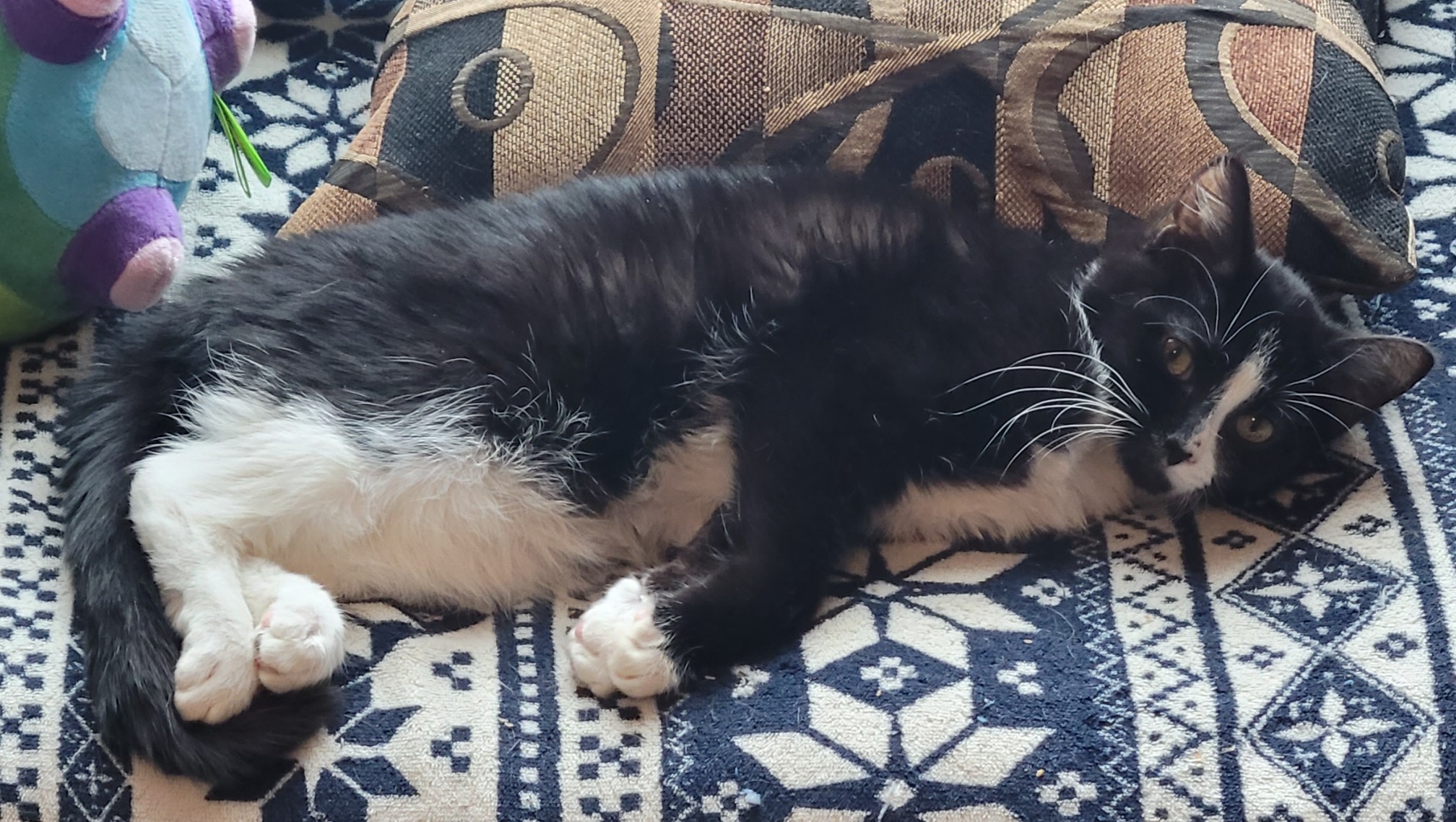 Fundraiser by Tabetha Williams : Rhyme's Hospital Stay