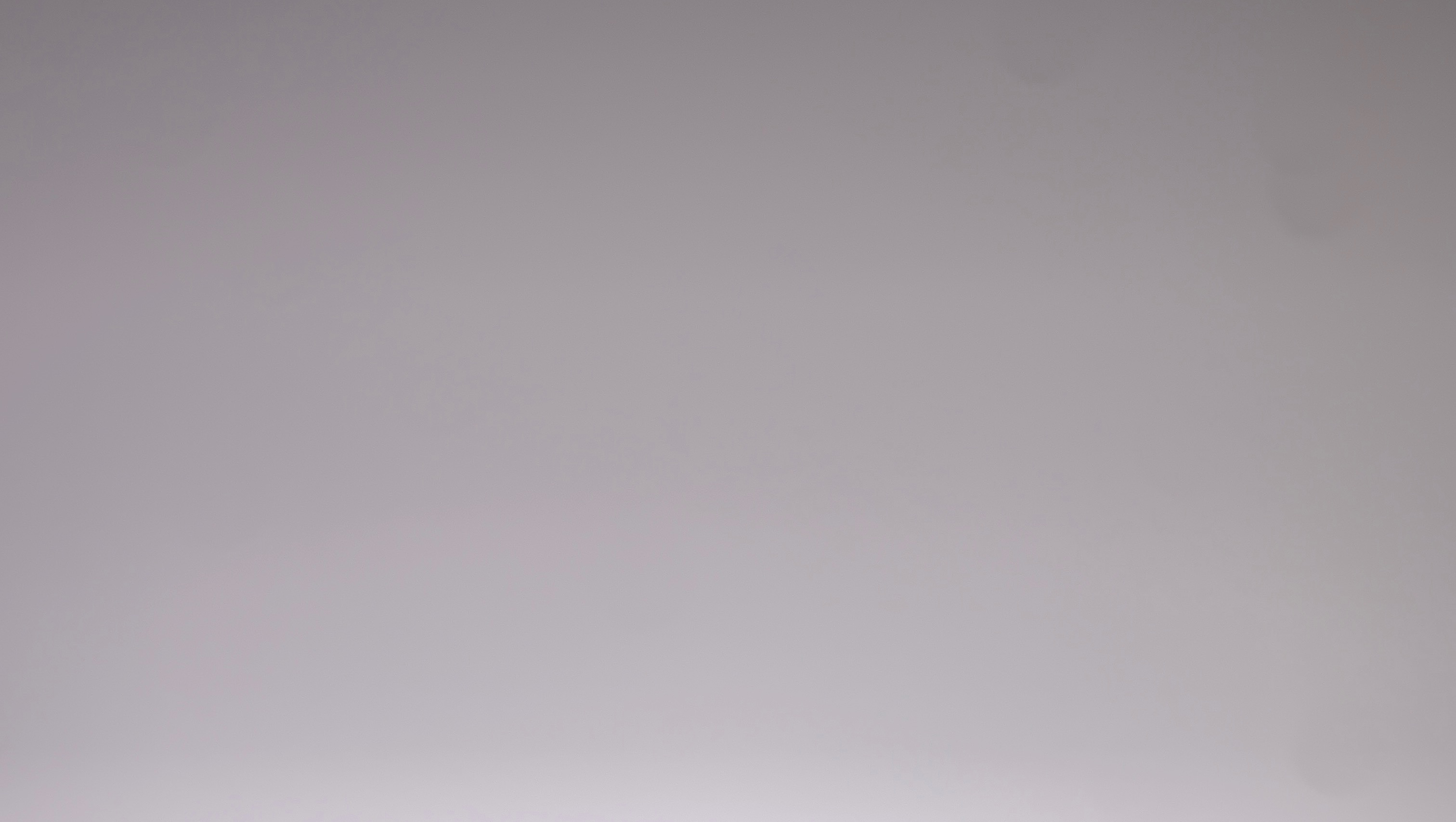 Fundraiser for Lisa Slayton by Mercedes Howell : Memorial