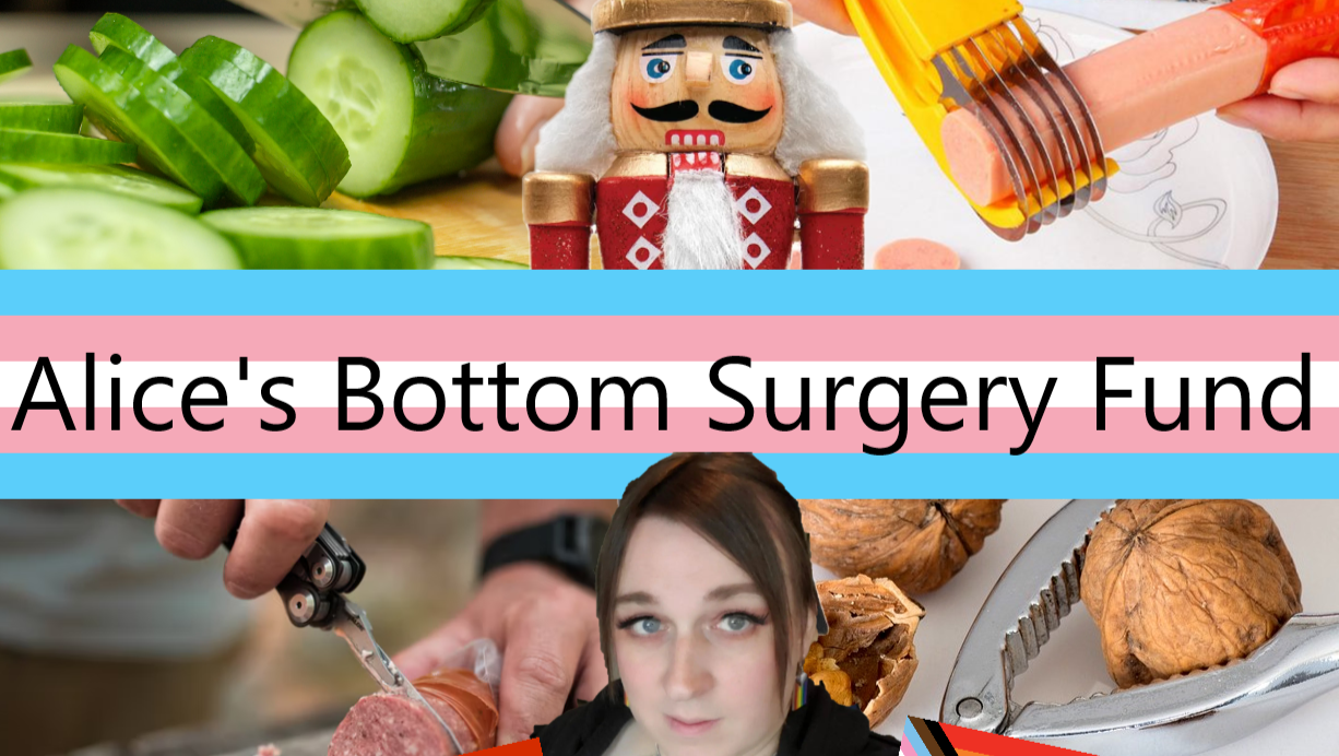 Fundraiser by Alisandra Livingston : Alice's Bottom Surgery Fund