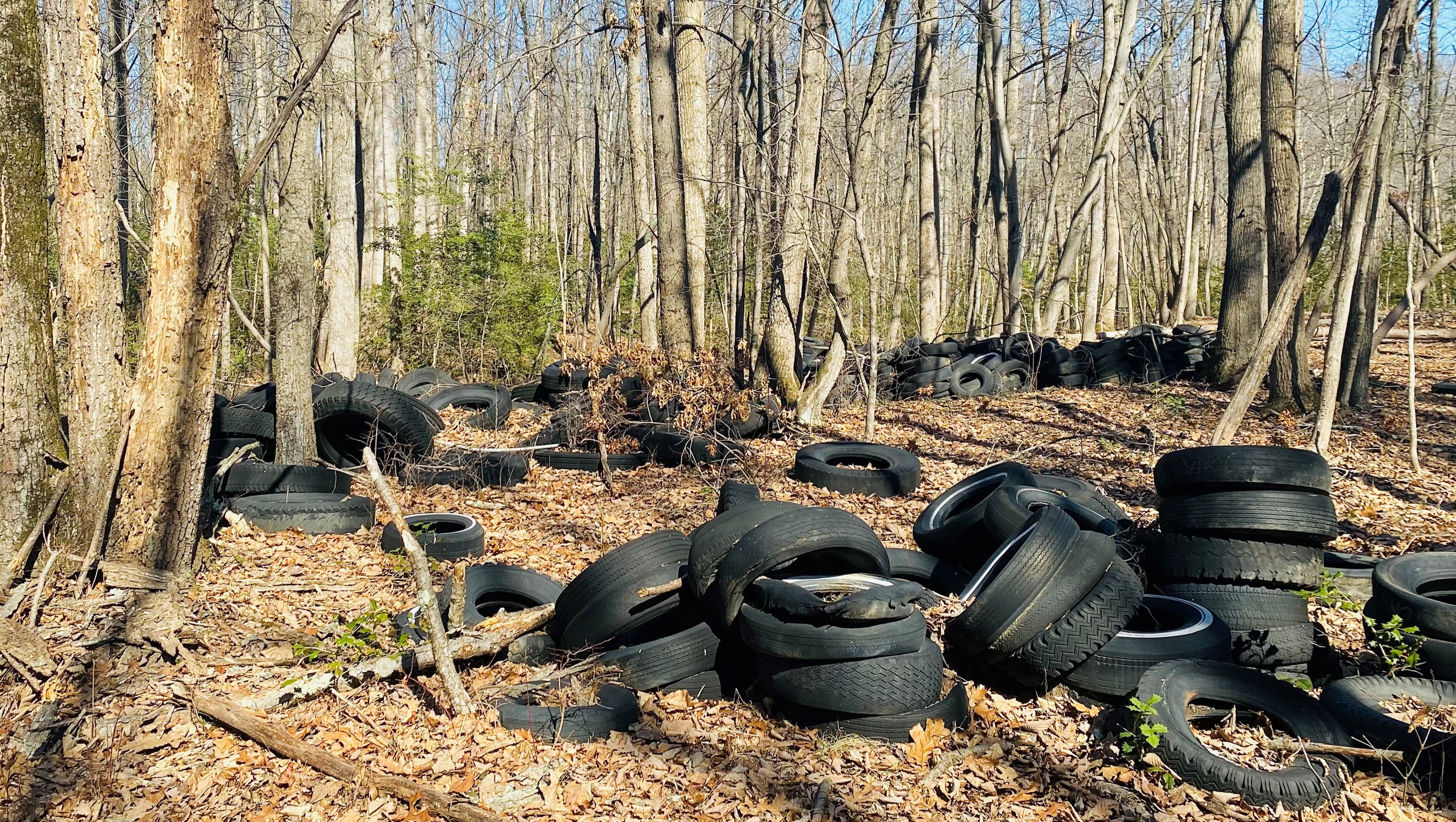 Fundraiser for Deadra Daly by Jackson Daly : Jack's Eagle Scout Project ...