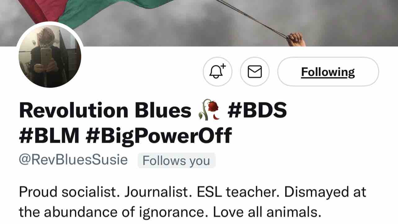 Recaudación de fondos de Rebecca Hancox: Bring Susie home