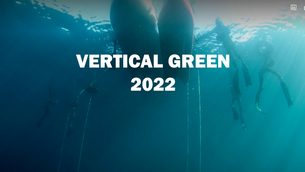 Fundraiser by Vertical Green : Vertical Green Freediving Competition