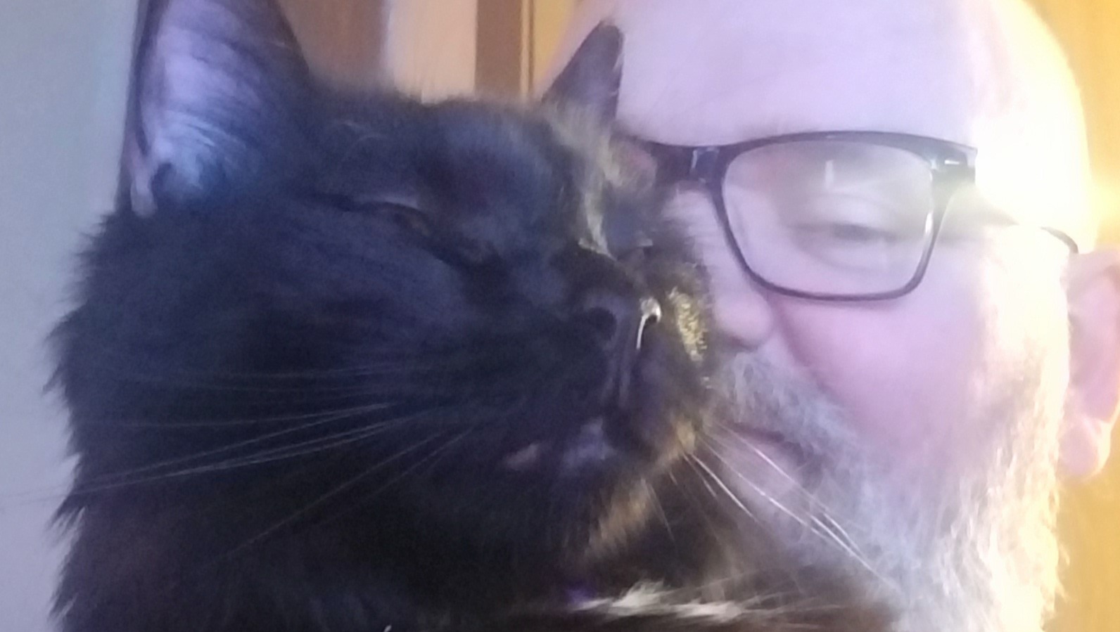 Fundraiser by Eric Partain : Shoulder replacement surgery