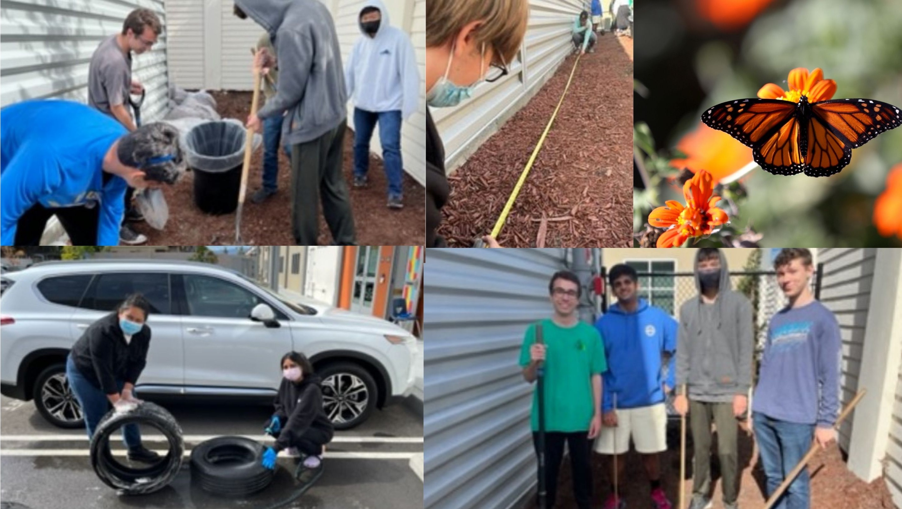 Fundraiser by Barbara Vella : Help Kick start a school community garden