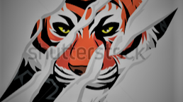 Fundraiser for Christopher Rossini by Peter Mclean : Chris Rossini ...