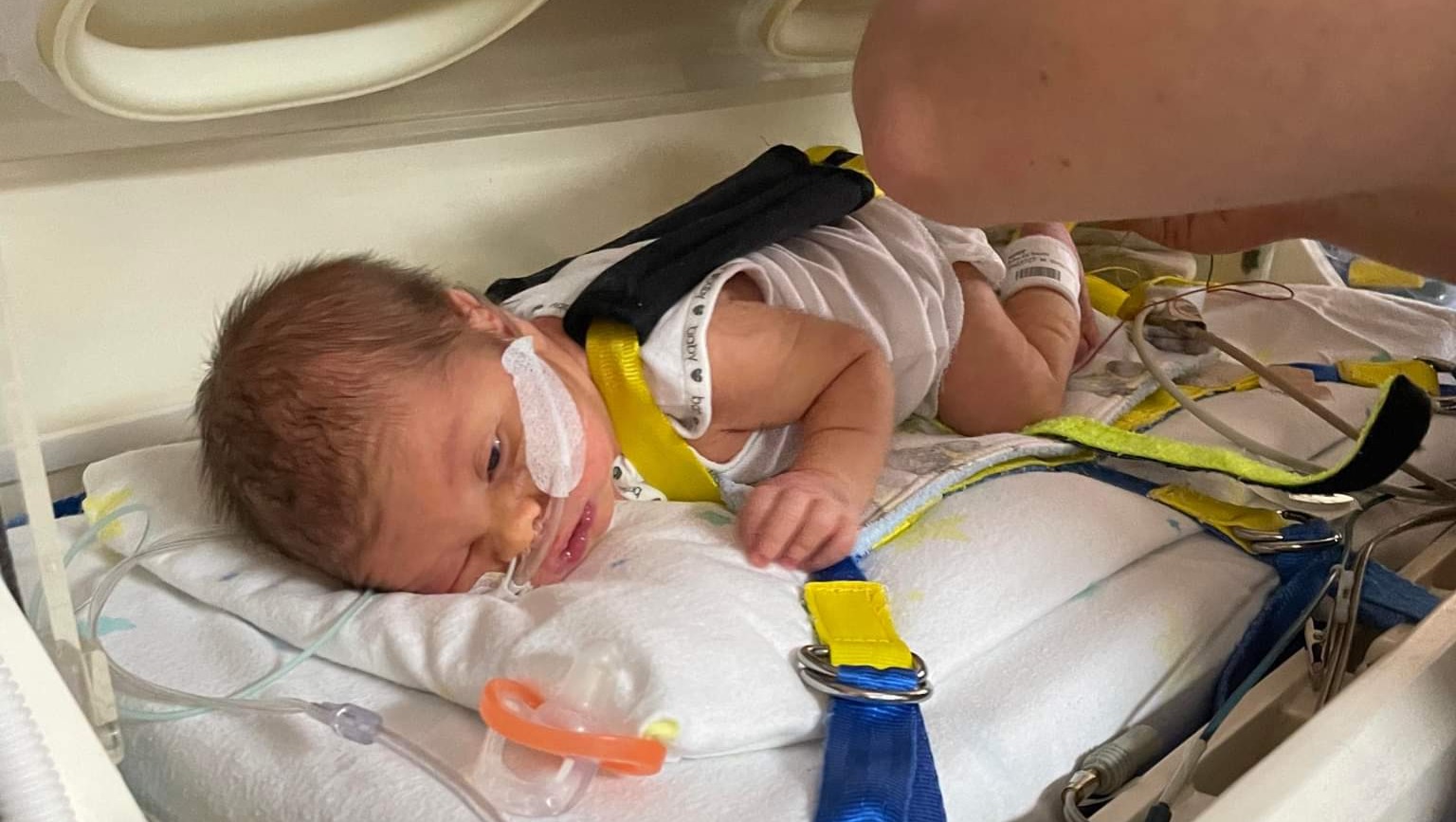 Fundraiser for Nicole Shipp by Shaun Bateman : Let's help out baby ...