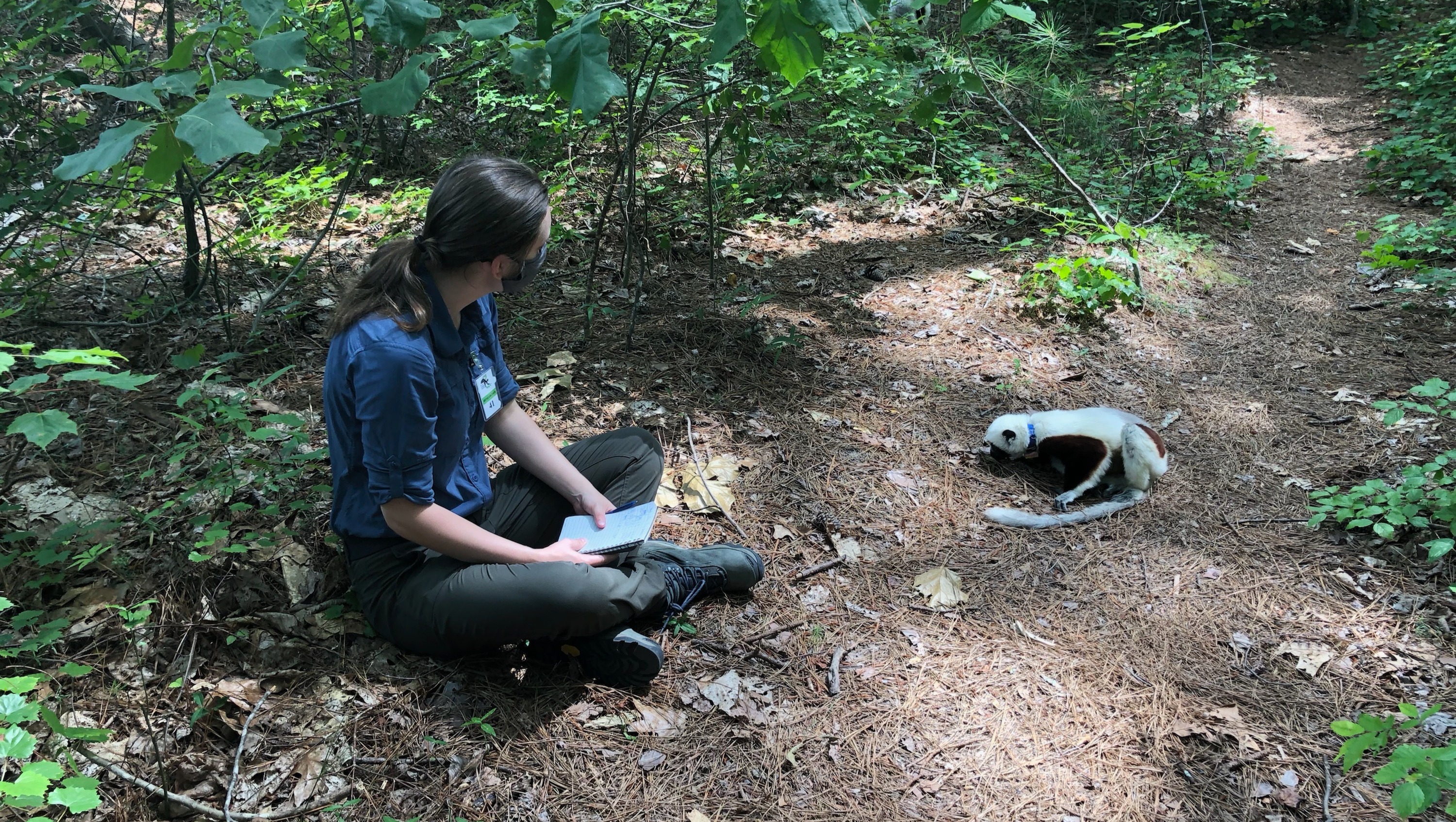 Fundraiser by Casey Farmer : Supporting Casey's first Madagascar ...