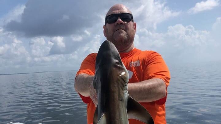 Fundraiser for David Langlois by Michael Sink : Please donate to help Dave