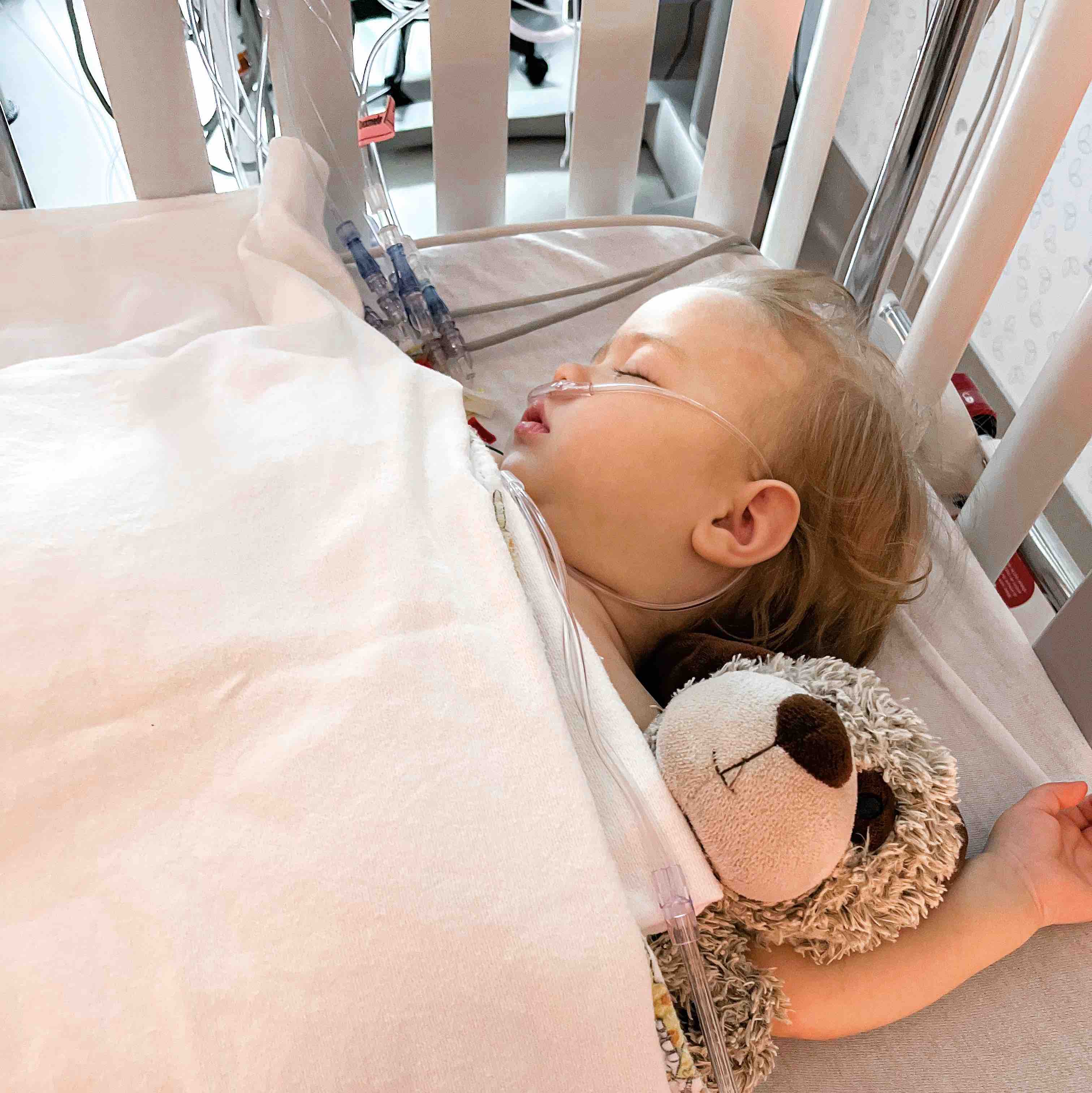 Fundraiser by Royce Strahan : Baby Logan Hospital Expenses
