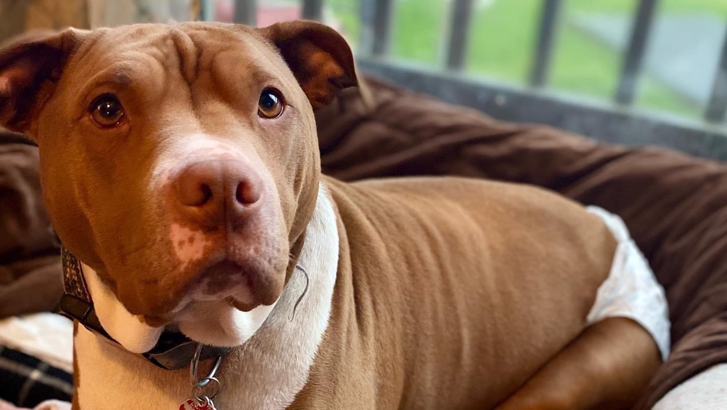 Fundraiser for May Quigley by Jami G : Get Glenda going!