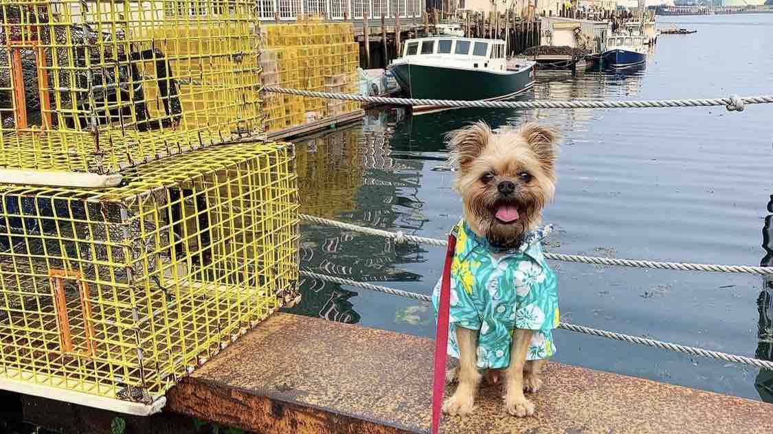 Fundraiser for Emily Killian by Jessica Landor : Jax attacks prostate ...