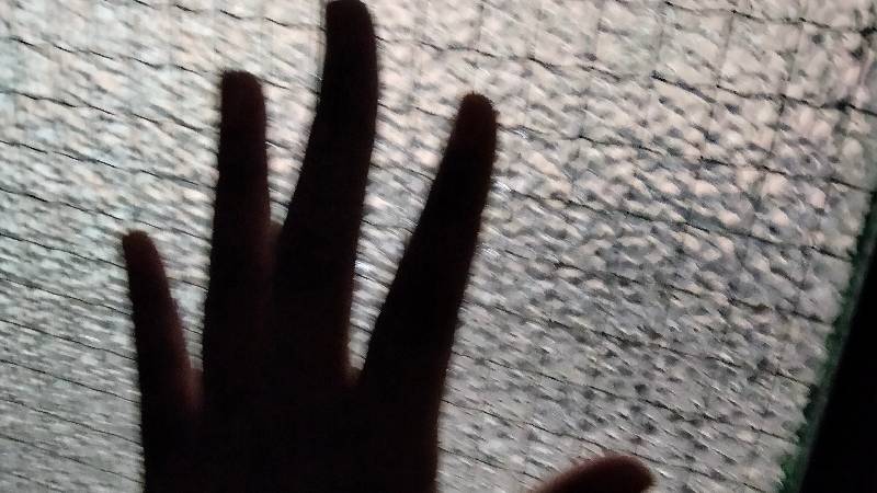 Fundraiser by Jamila Pinto : Ajuda Maddie a pagar o Transplante de Córnea