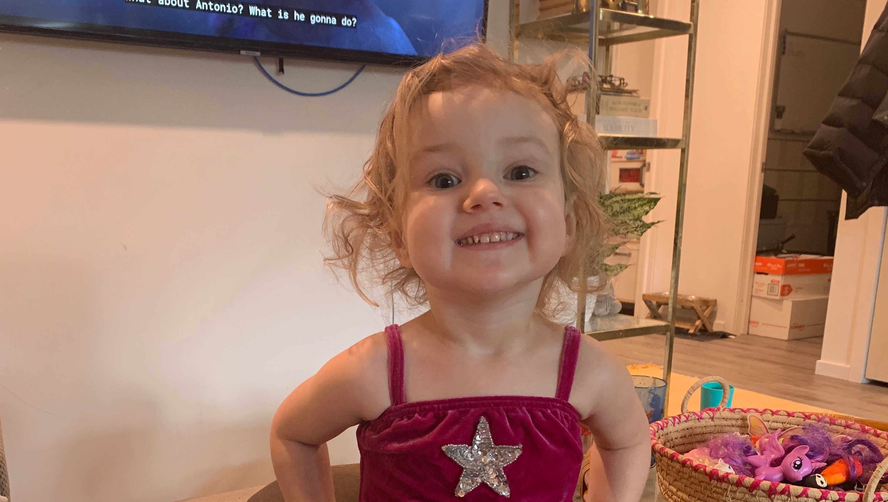 Fundraiser for Jade Love by Sandra Long : Funds for Milly