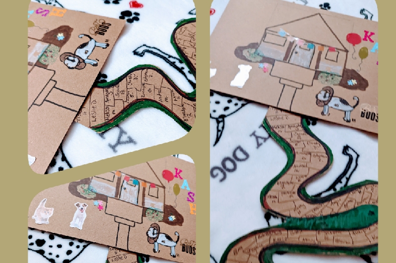 Fundraiser by Stephanie Rich : Our boy Kash