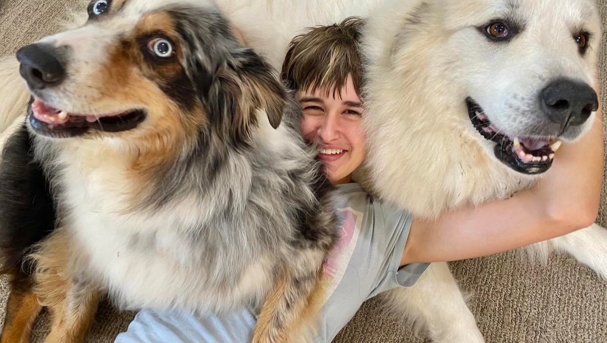 Fundraiser by Susan Mullaney : Help Give Atlas A Chance To Live!