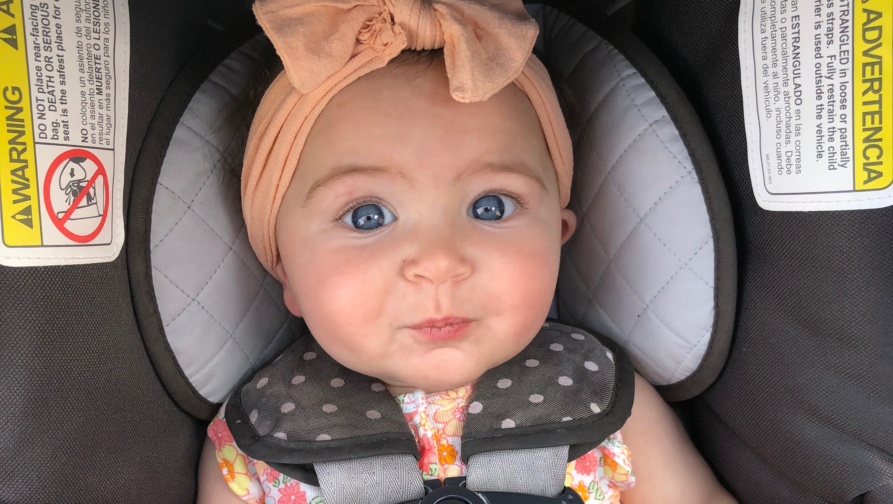 Fundraiser by Caitlyn And Cameron Rieper : Zella’s Journey