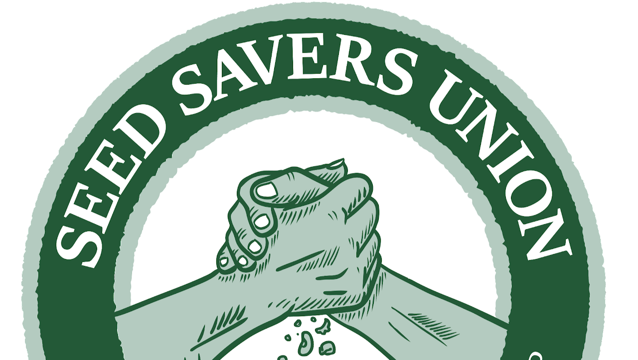 Fundraiser for Carly Matthew by Hannah Breckbill : Solidarity for fired ...